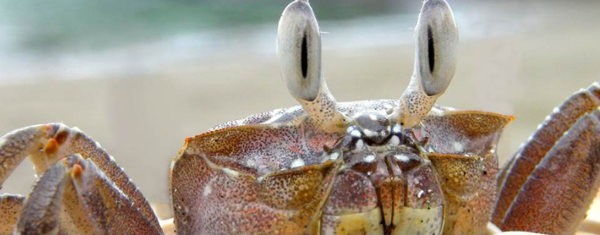 Biological Sciences | University of Cincinnati